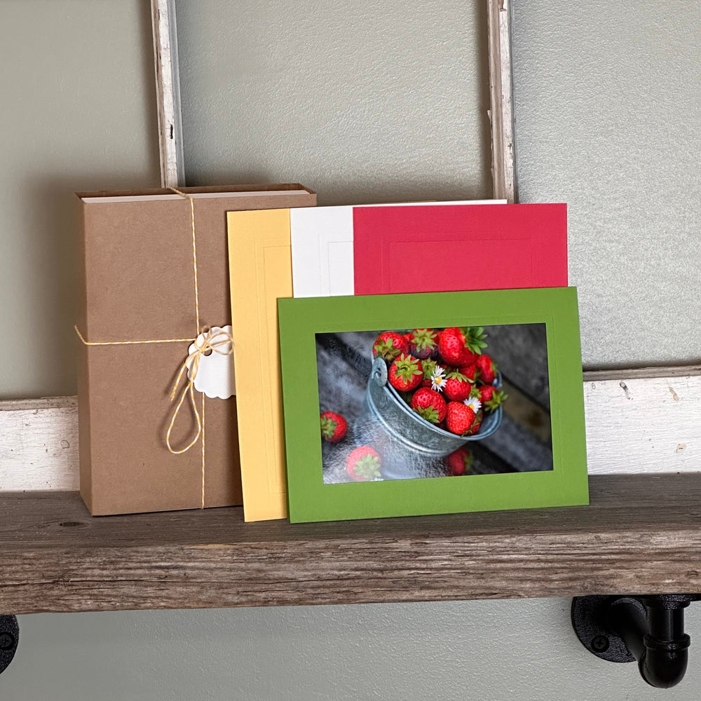 Photo Insert Card Collections & Samplers | Plymouth Cards