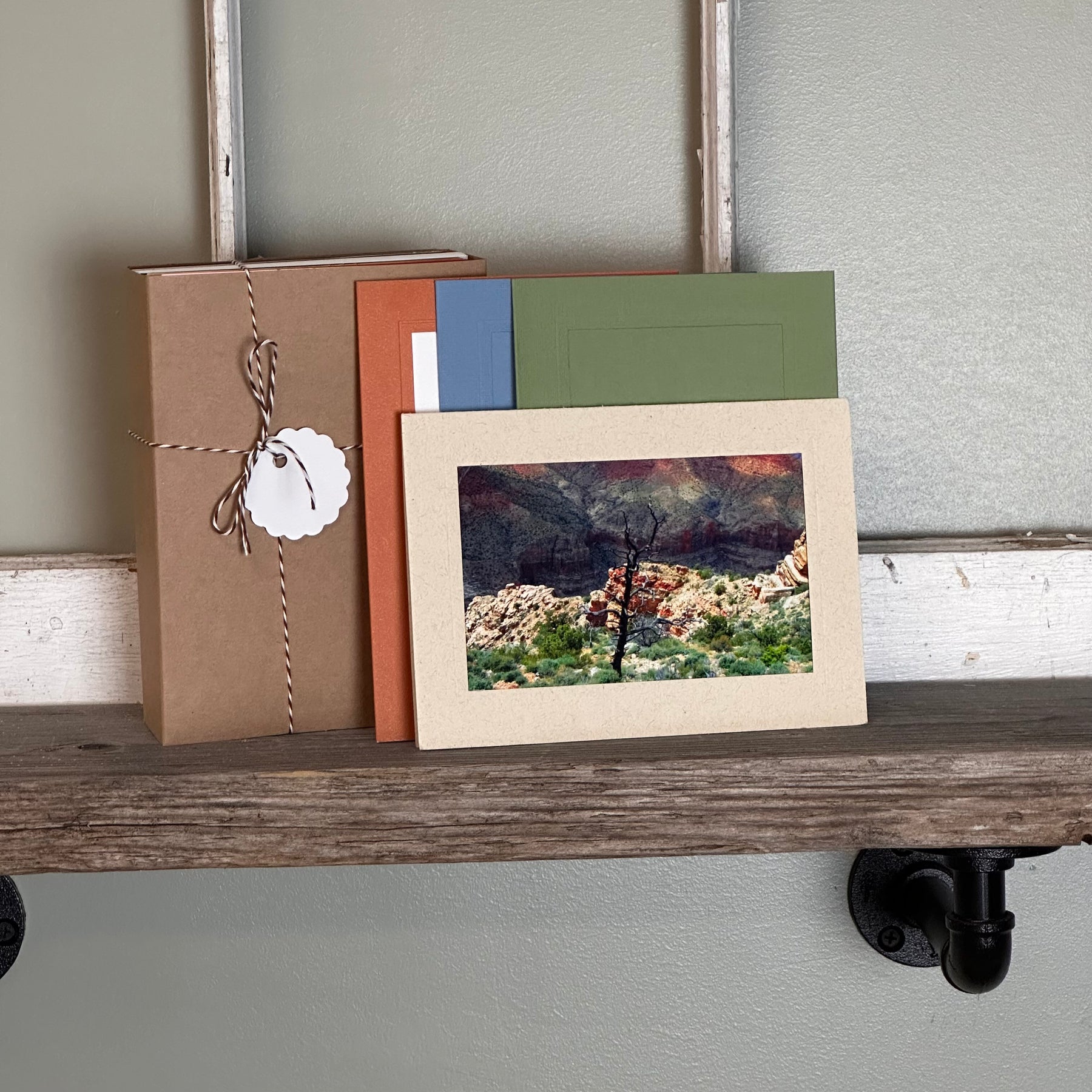 Photo Insert Card Collections & Samplers | Plymouth Cards