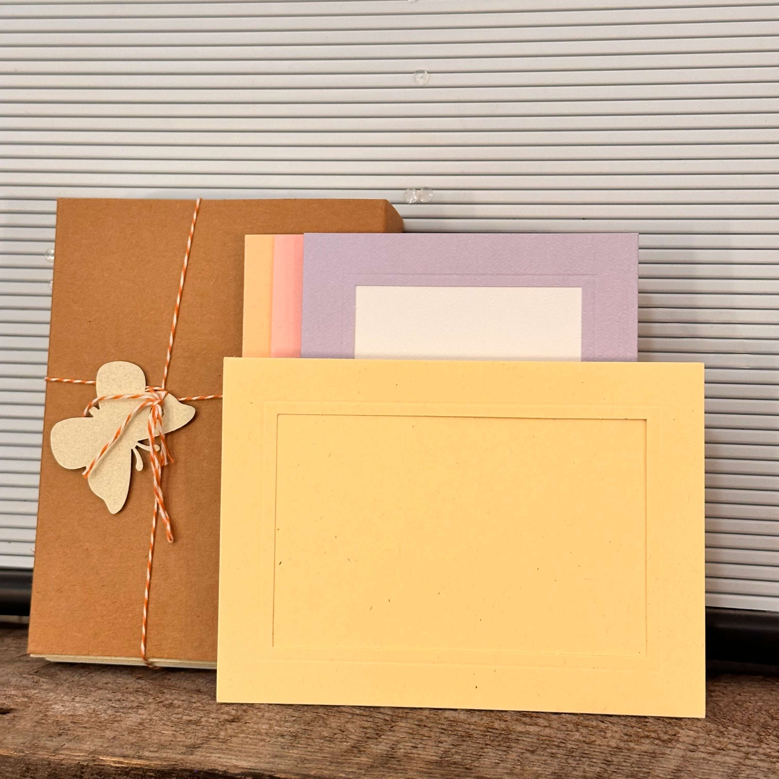 Photo Insert Card Collections & Samplers | Plymouth Cards