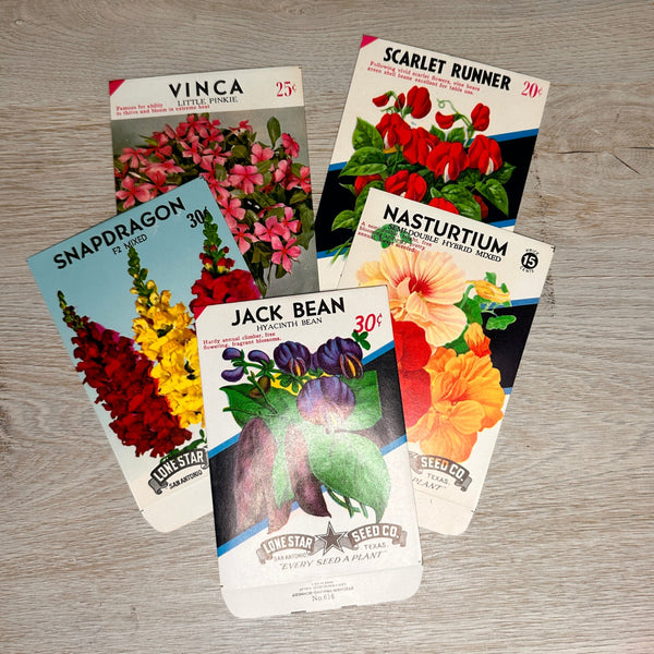 Flower seed packets - sets of 5 - Plymouth Cards