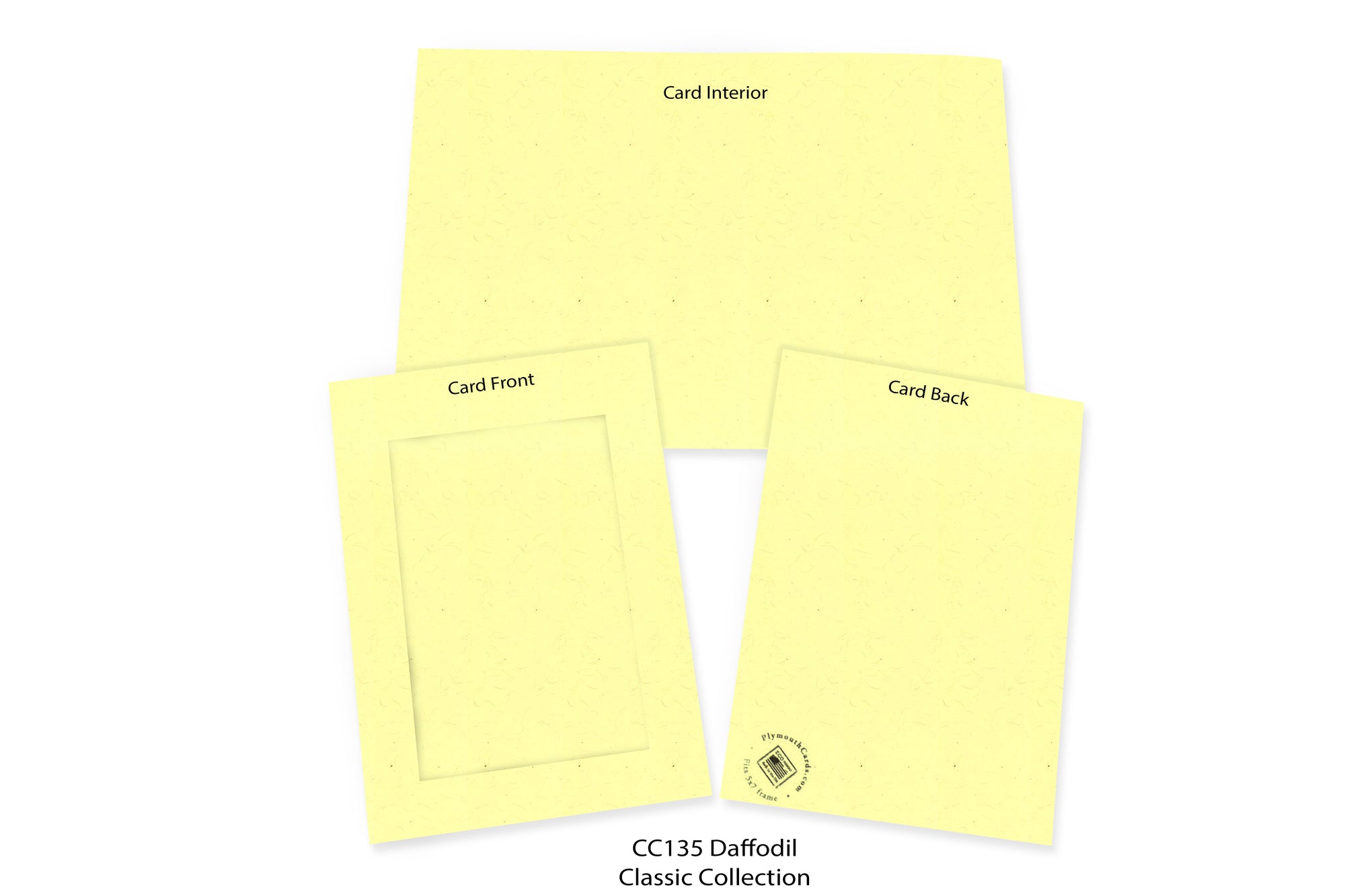 Photo Insert Card Collections & Samplers | Plymouth Cards