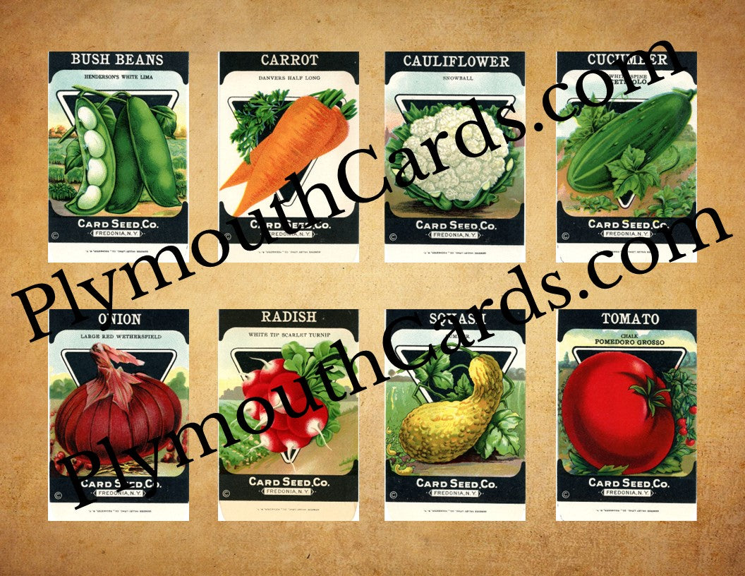 Vintage Seed Packets mini cards sheet - Digital file - Plymouth Cards