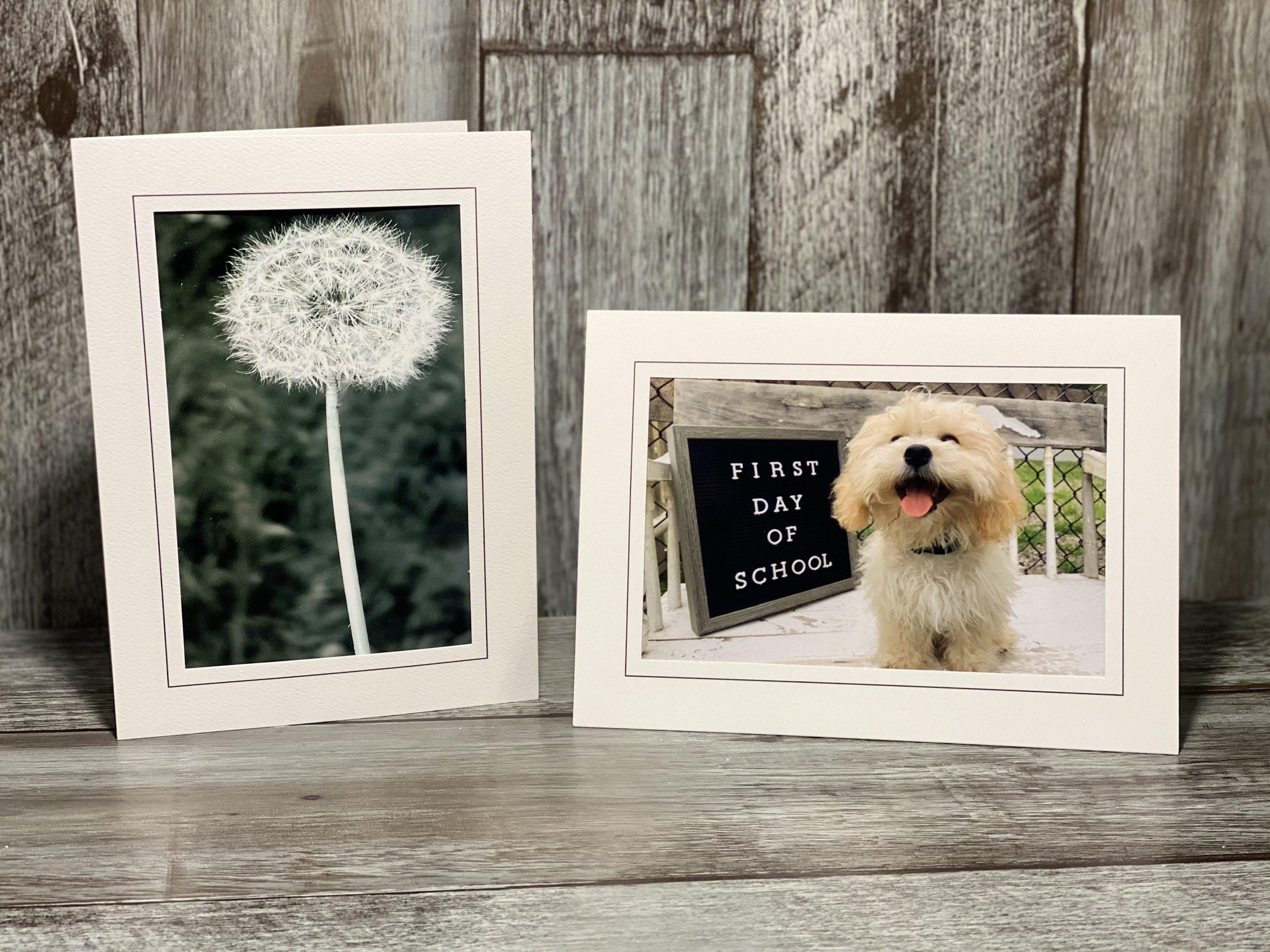 Photo Insert Note Cards – All Collections | Plymouth Cards