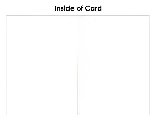 Wallet Photo Insert Cards | Plymouth Cards