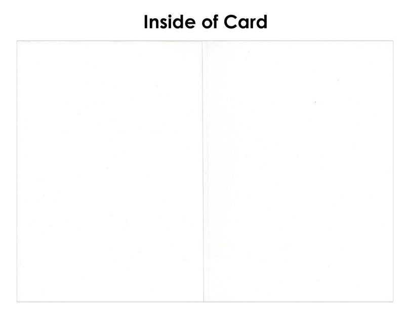 Wallet Photo Insert Cards - Cream | Plymouth Cards