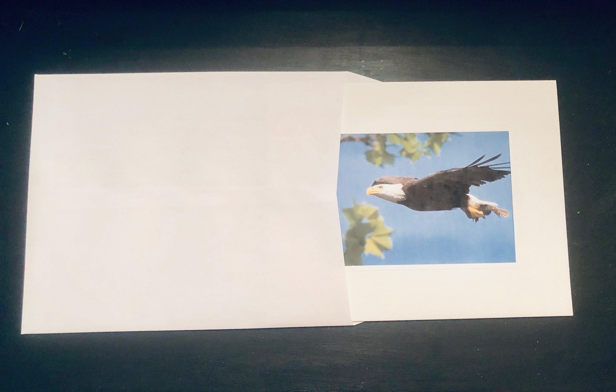 5" x 7" Photo Insert Cards, fits an 8" x 10" frame| Plymouth Cards